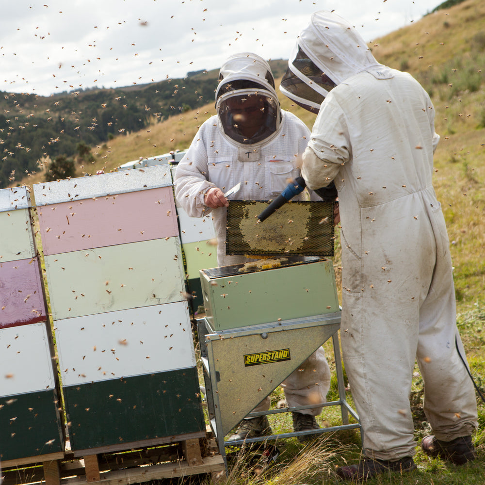 Manuka Honey makers: The Beekeepers